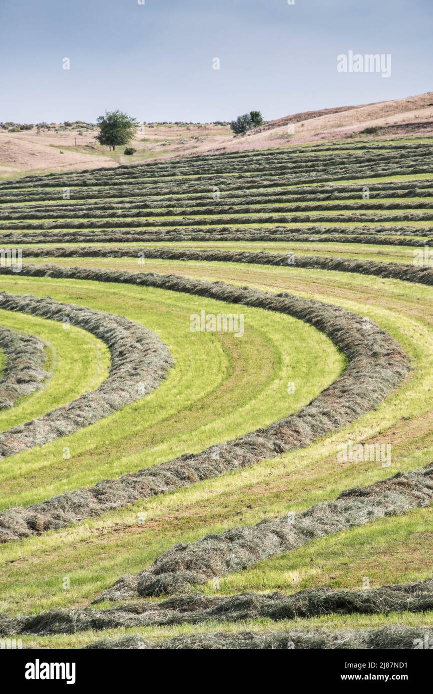 Vertical farming concept hi-res stock photography and images - Alamy