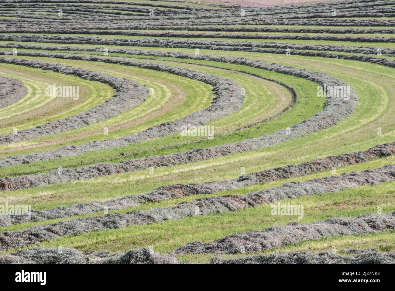 Windrows hi-res stock photography and images - Alamy