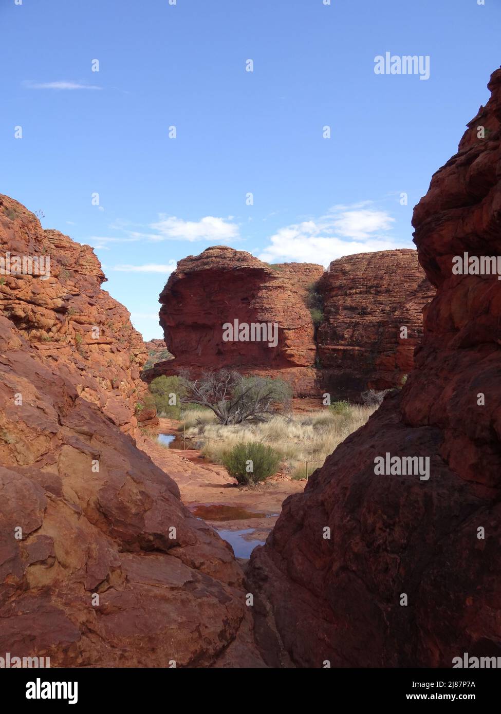 Red rock desert Stock Photo - Alamy