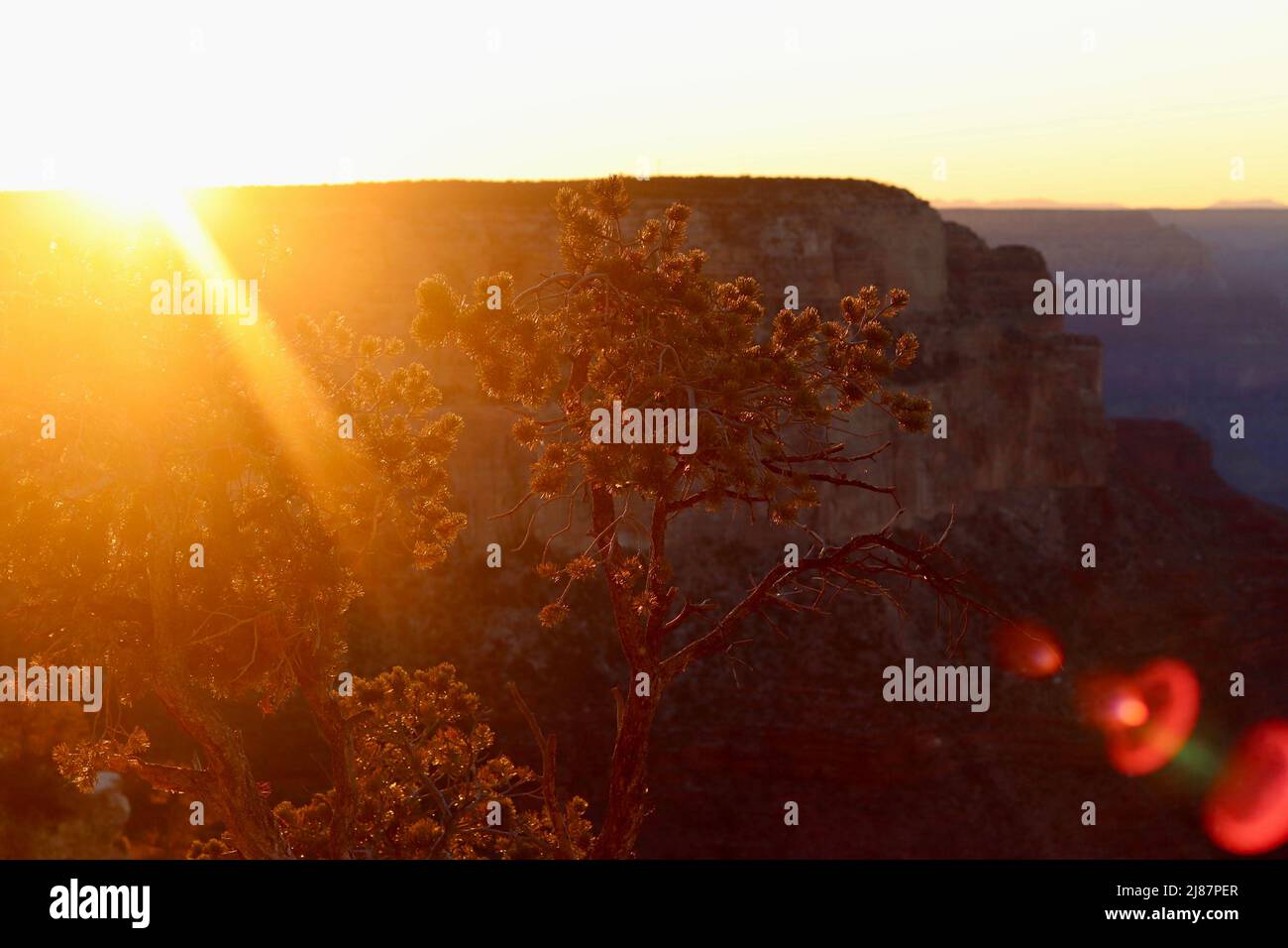 Grand Canyon sunrise Stock Photo - Alamy