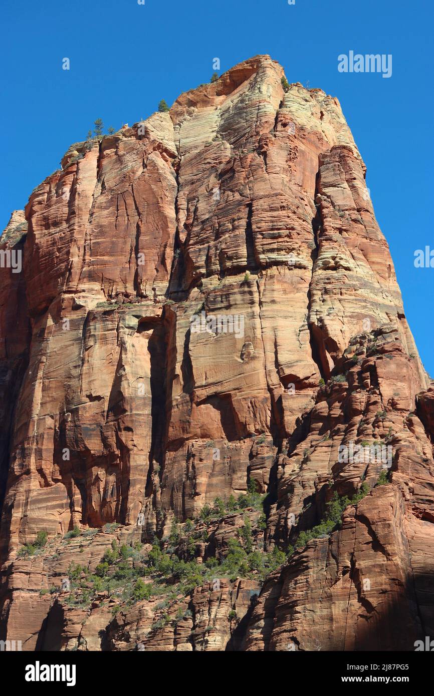 Angels Landing in Zion National Park Stock Photo - Alamy