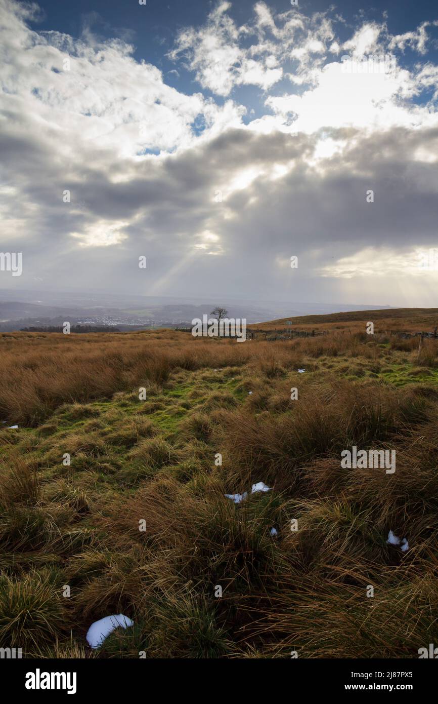 Highland moors on a cold winter's day Stock Photo - Alamy