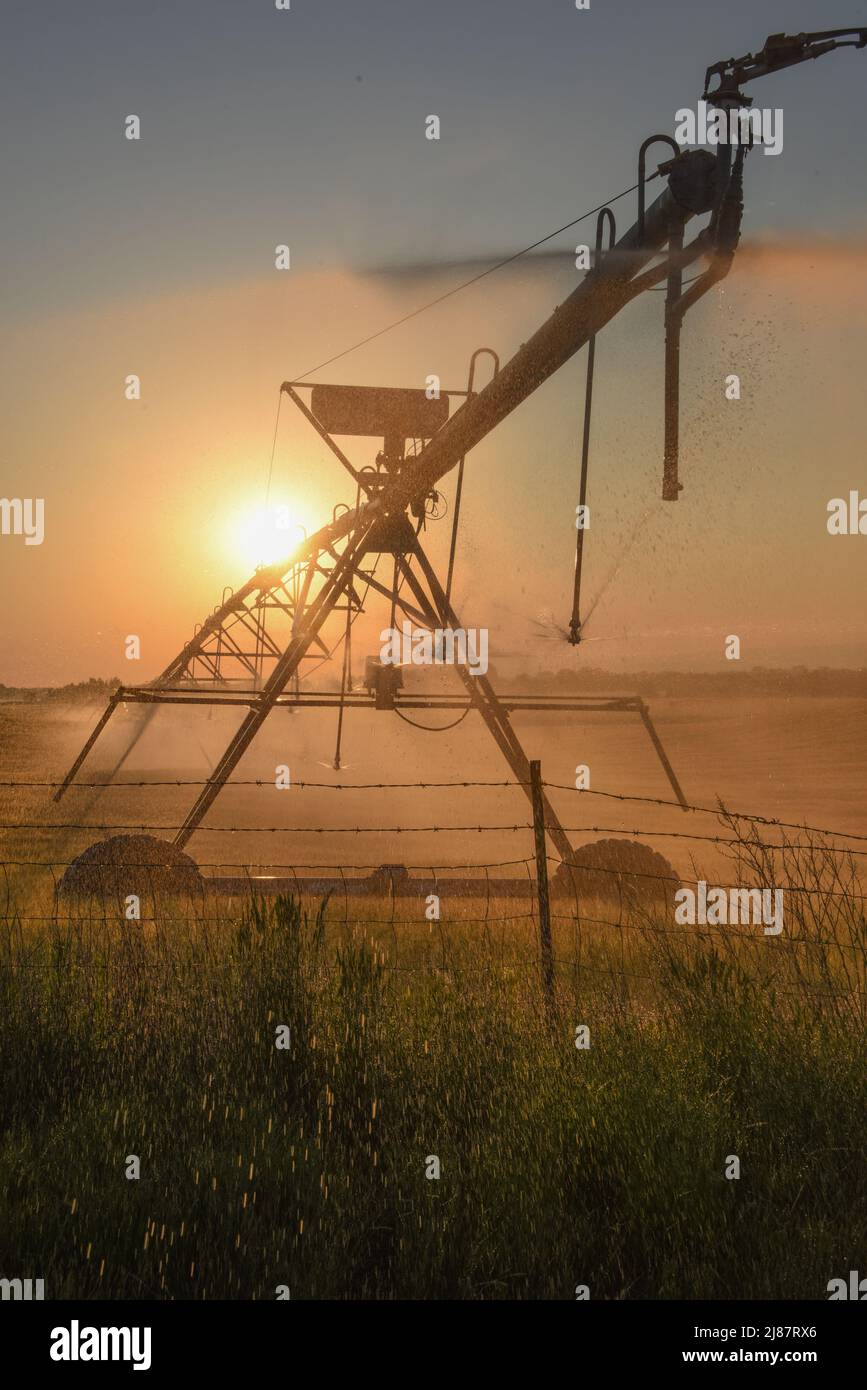 Pivot Irrigation at Sunset, Deer Parks, WMU, Menan, Idaho, USA Stock ...