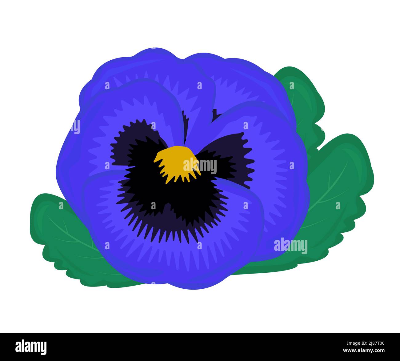 Single blue pansy with leaves, bright illustration Stock Vector Image ...