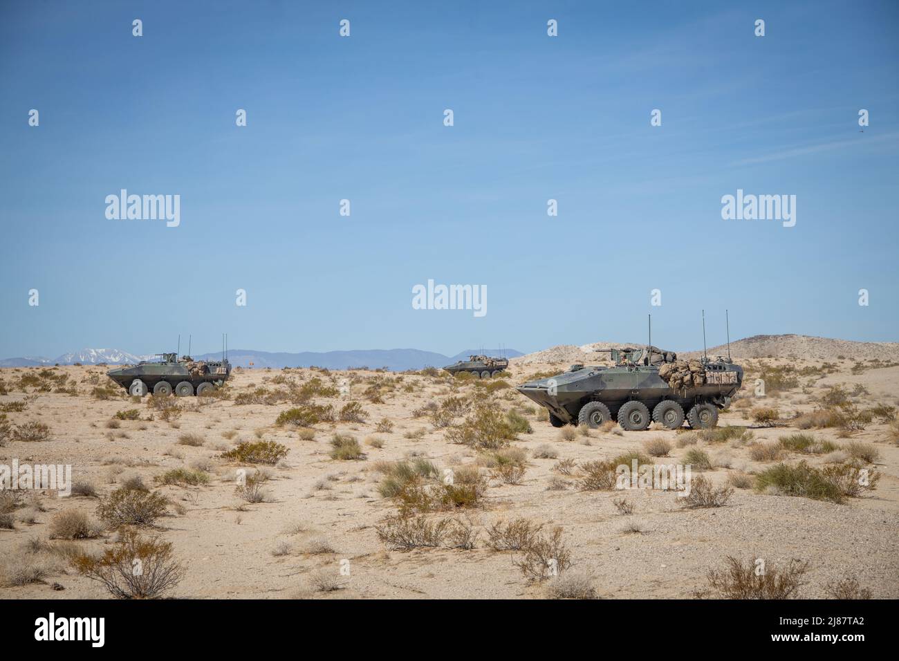 U.S. Marines with Bravo Company, 3d Assault Amphibian Battalion, 1st ...