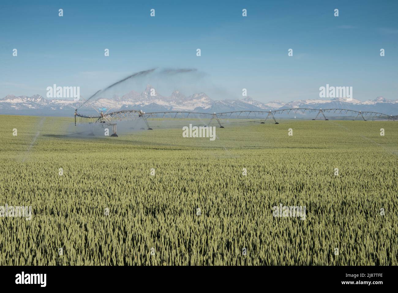 Center pivot irrigation america hi-res stock photography and images - Alamy