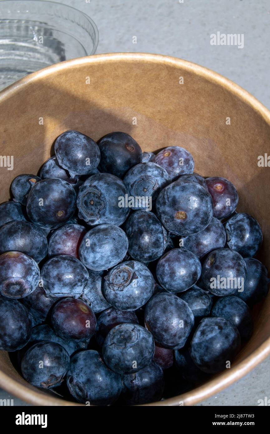 blueberries on a cardboard box. Blueberries industry, modern ...