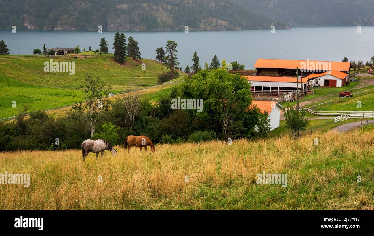 Homestead farm ranch tourism hi-res stock photography and images - Alamy