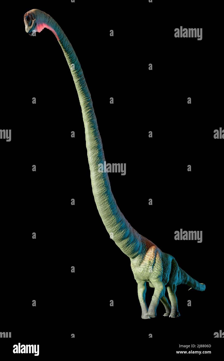 Artwork of Mamenchisaurus Stock Photo - Alamy