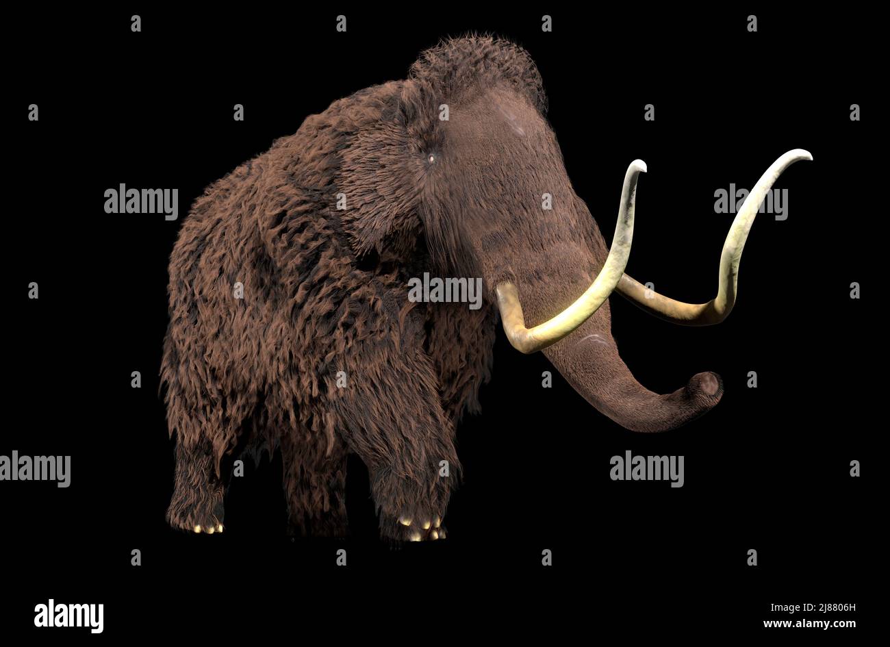 Artwork of a Woolly Mammoth Stock Photo - Alamy