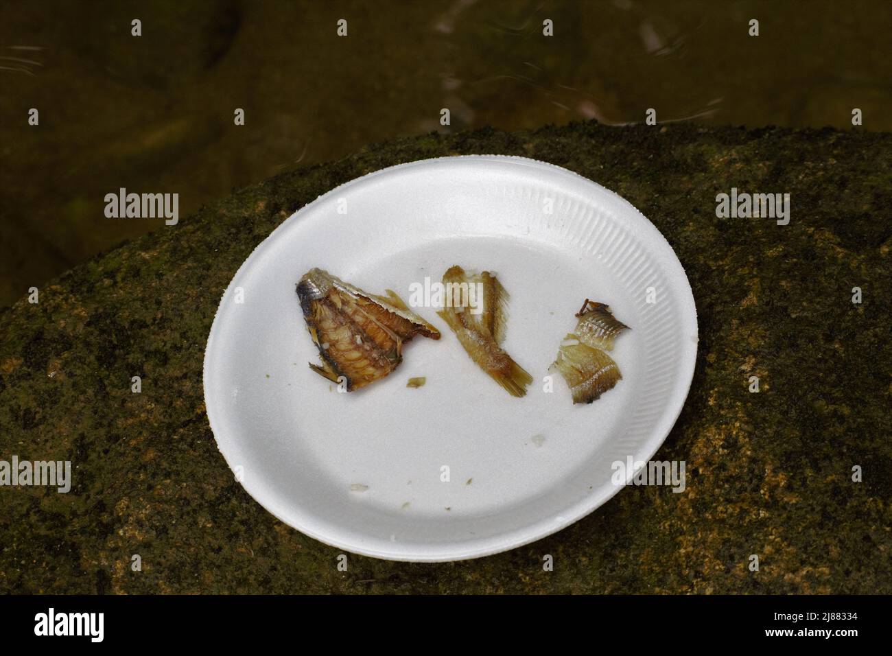 Polystyrene plate hi-res stock photography and images - Alamy