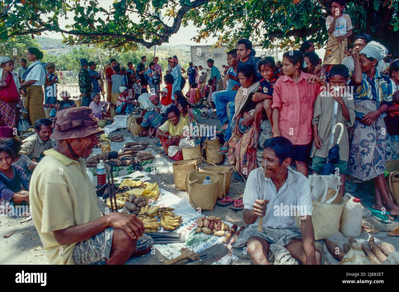 Weekly village market on Atauro Island, Timor Leste Stock Photo - Alamy