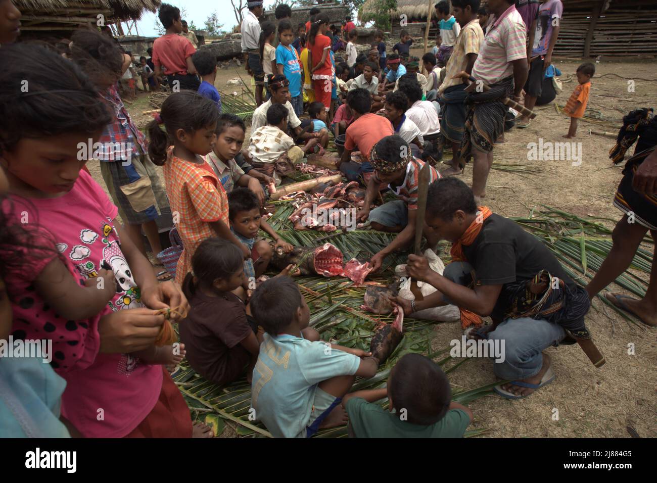 Indigenous feast preparation hi-res stock photography and images - Alamy