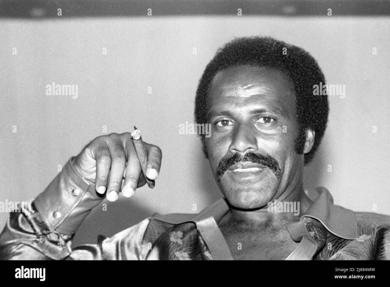 Fred Williamson Jr
