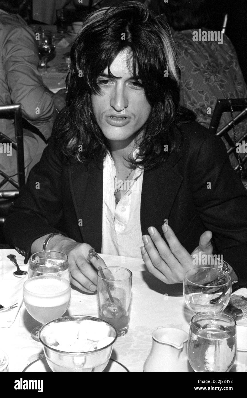 Joe Perry at the press conference before the premiere of Sgt. Pepper's ...