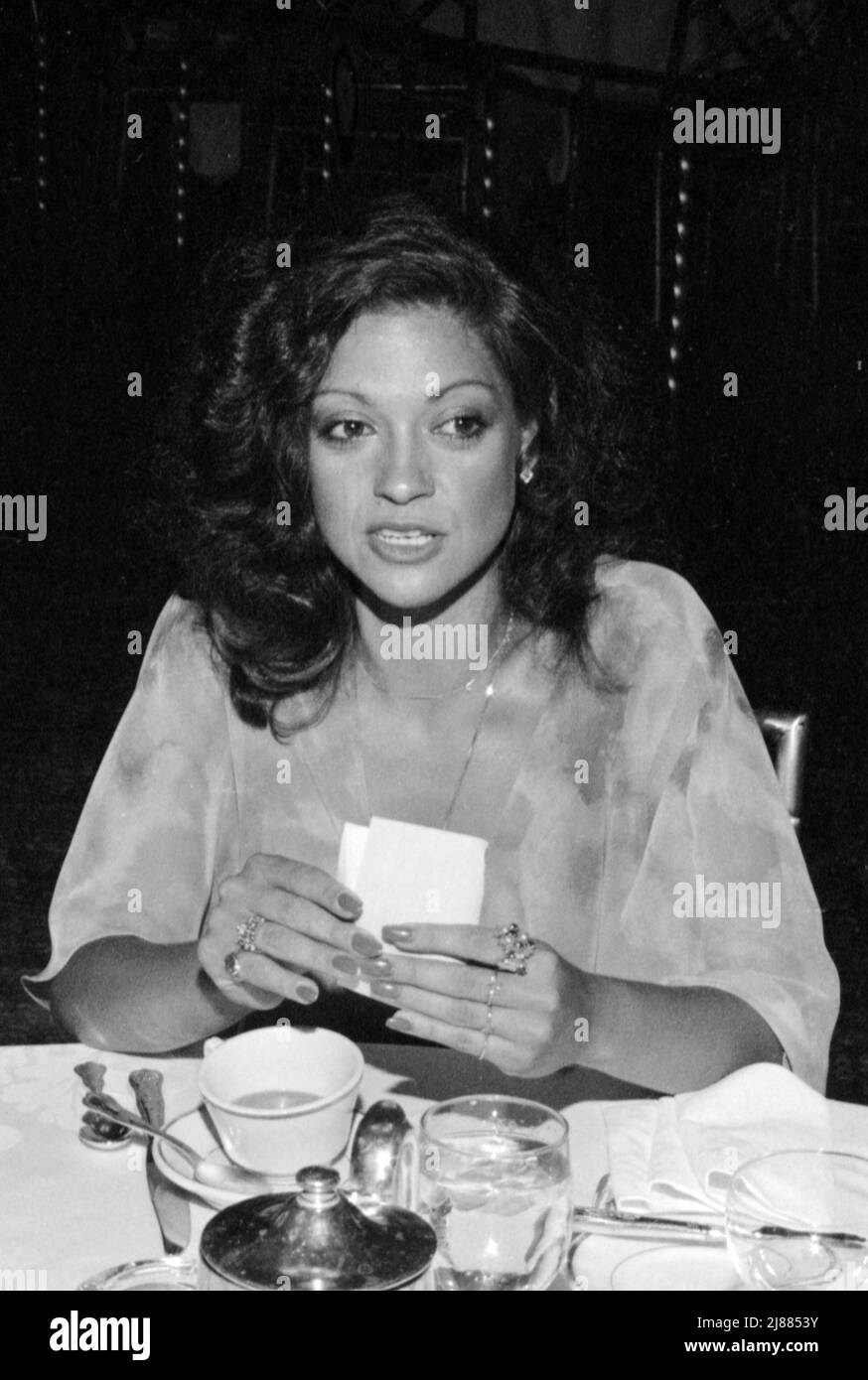 Dianne Steinberg at the press conference before the premiere of Sgt ...