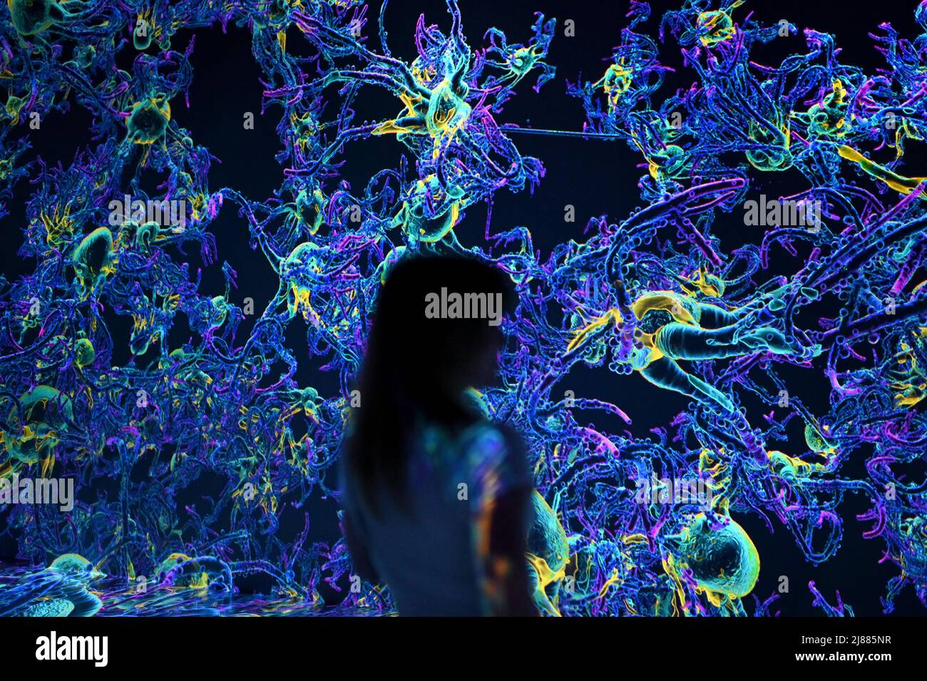 New York, USA. 13th May, 2022. People attend the “Life of a Neuron” a ...