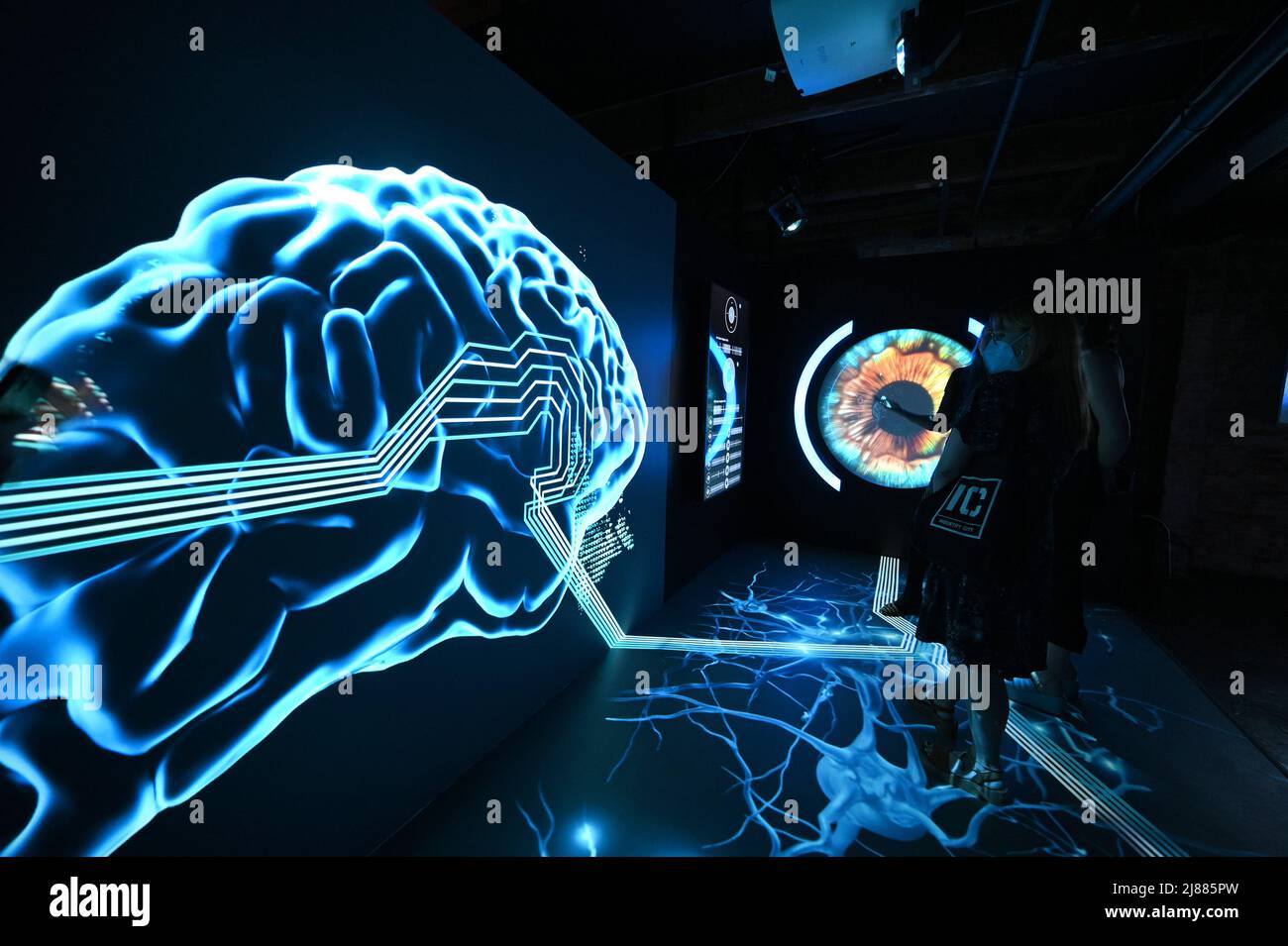 New York, USA. 13th May, 2022. People attend the “Life of a Neuron” a ...