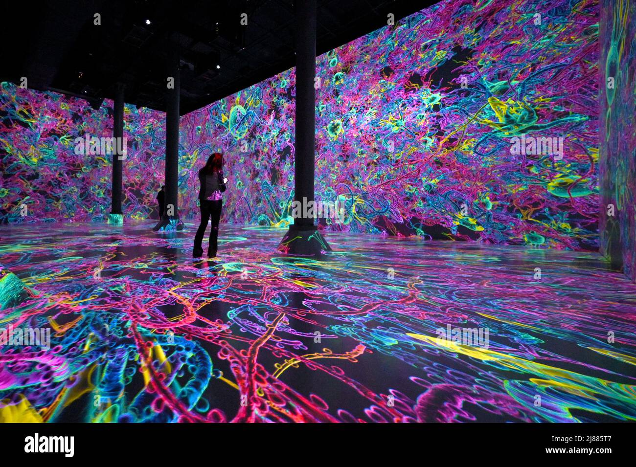 New York, USA. 13th May, 2022. People attend the “Life of a Neuron” a ...