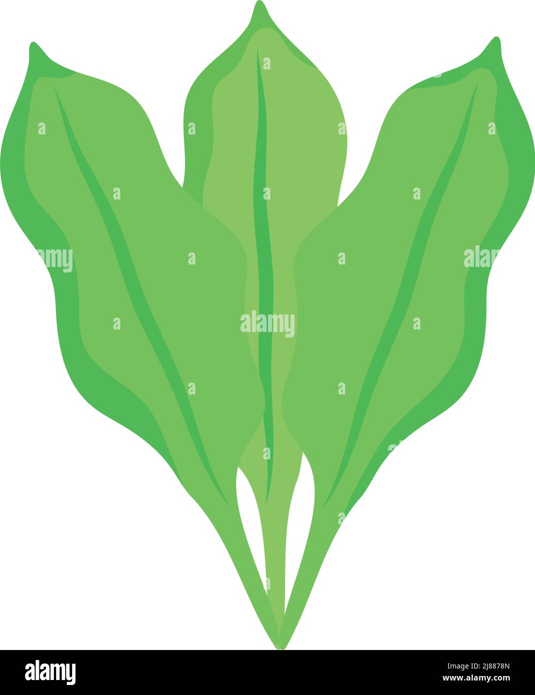 long leaves icon Stock Vector Image & Art - Alamy