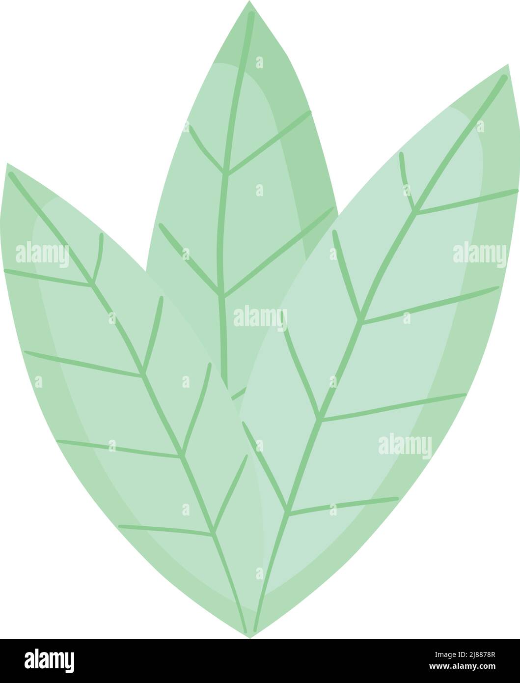 decorative leaves icon Stock Vector Image & Art - Alamy