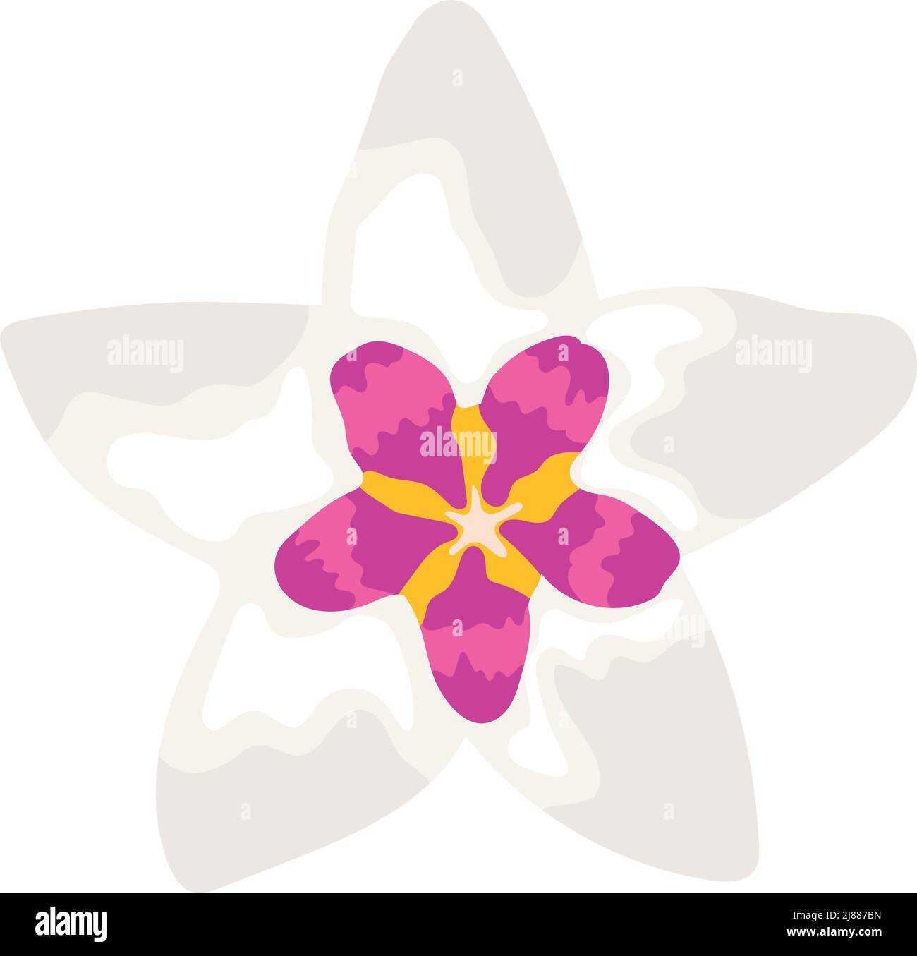 white orchid icon Stock Vector Image & Art - Alamy