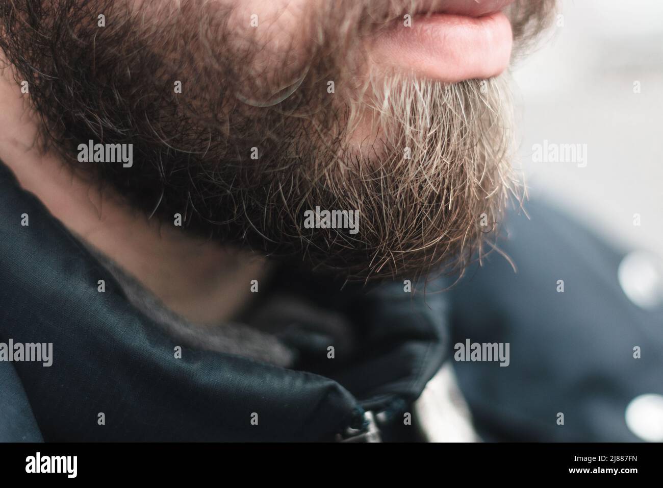 Heavy beard hi-res stock photography and images - Alamy