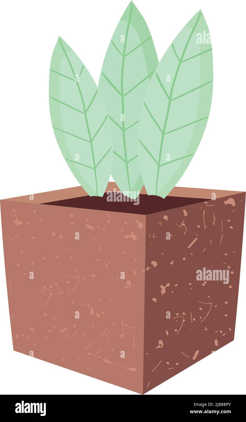Plant in a square pot Stock Vector Images - Alamy