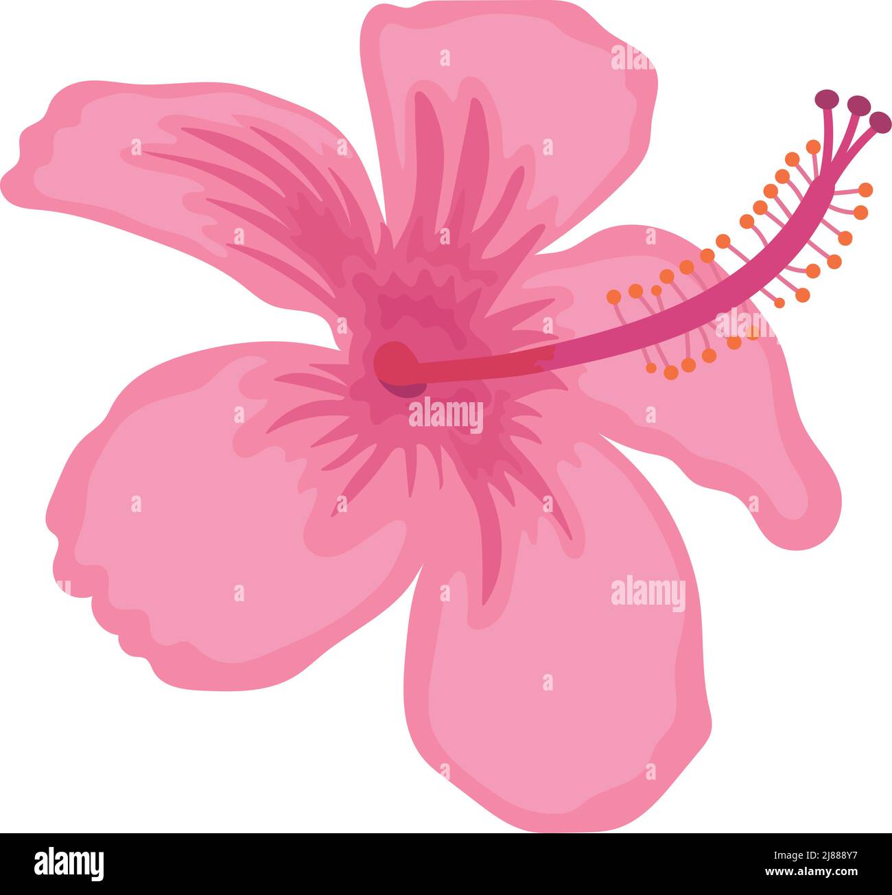 pink hibiscus flower Stock Vector Image & Art - Alamy