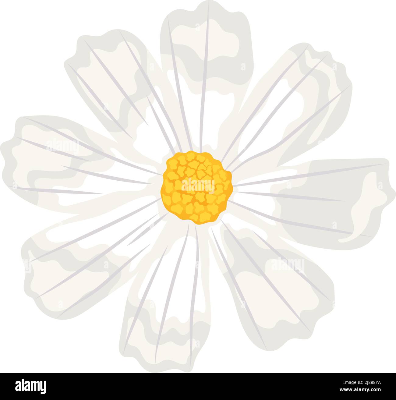 daisy flower icon Stock Vector Image & Art - Alamy