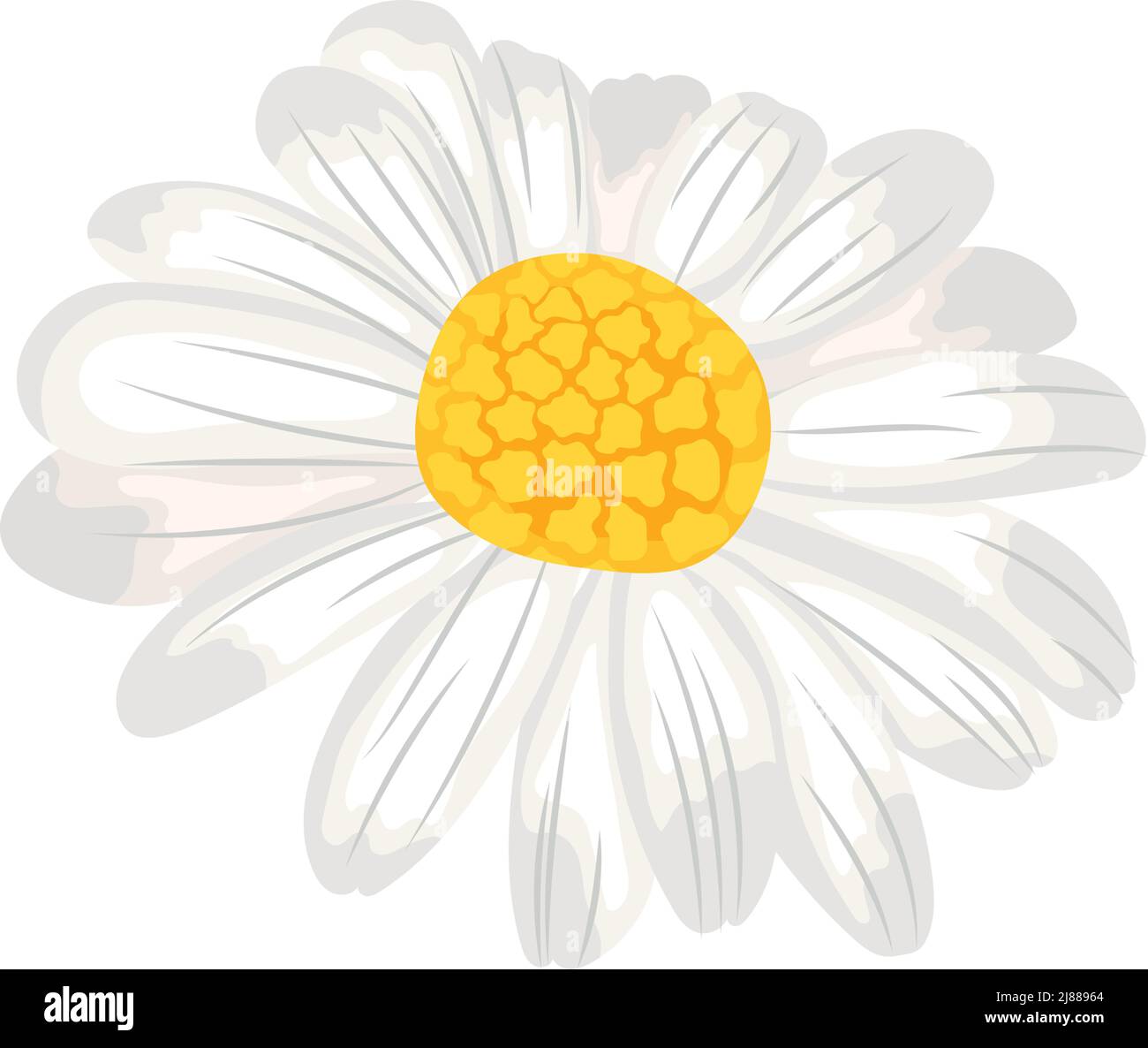daisy flower design Stock Vector Image & Art - Alamy