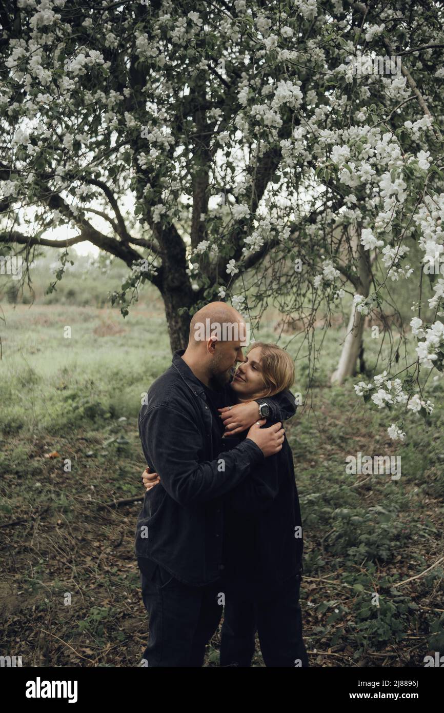 lovers embrace under a flowering tree hiding from the rain Stock Photo ...