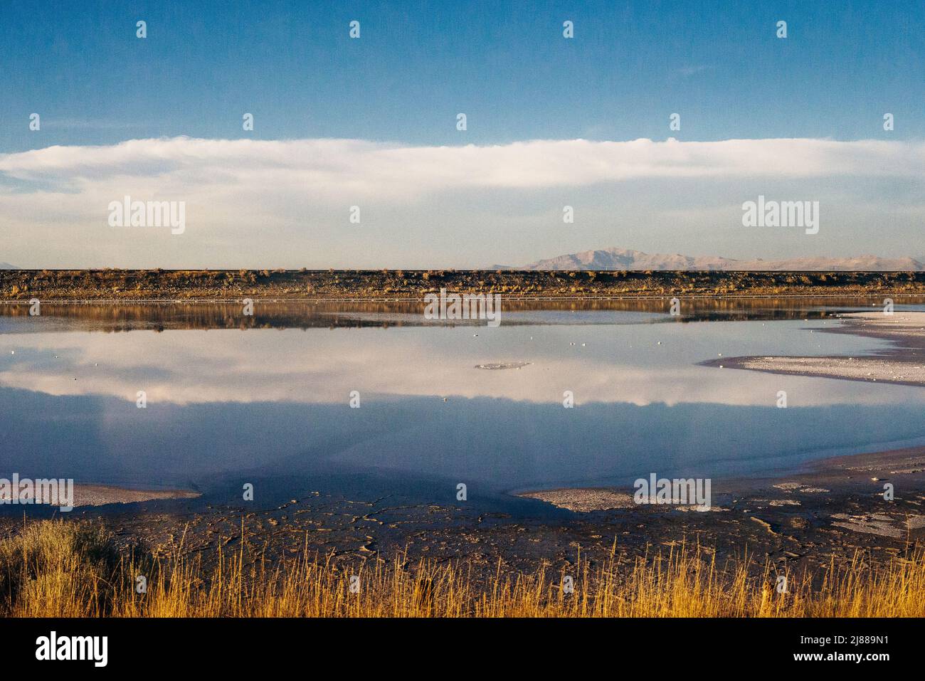 Salt And Shallow Water In Bonneville Salt Flats, Utah, USA Stock Photo ...