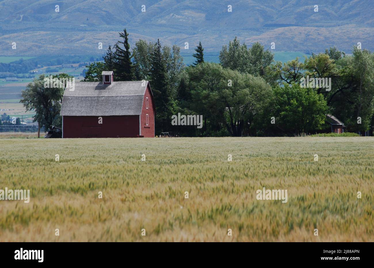 Historic Farm and Homestead at Olmstead Place State Park, Washington ...