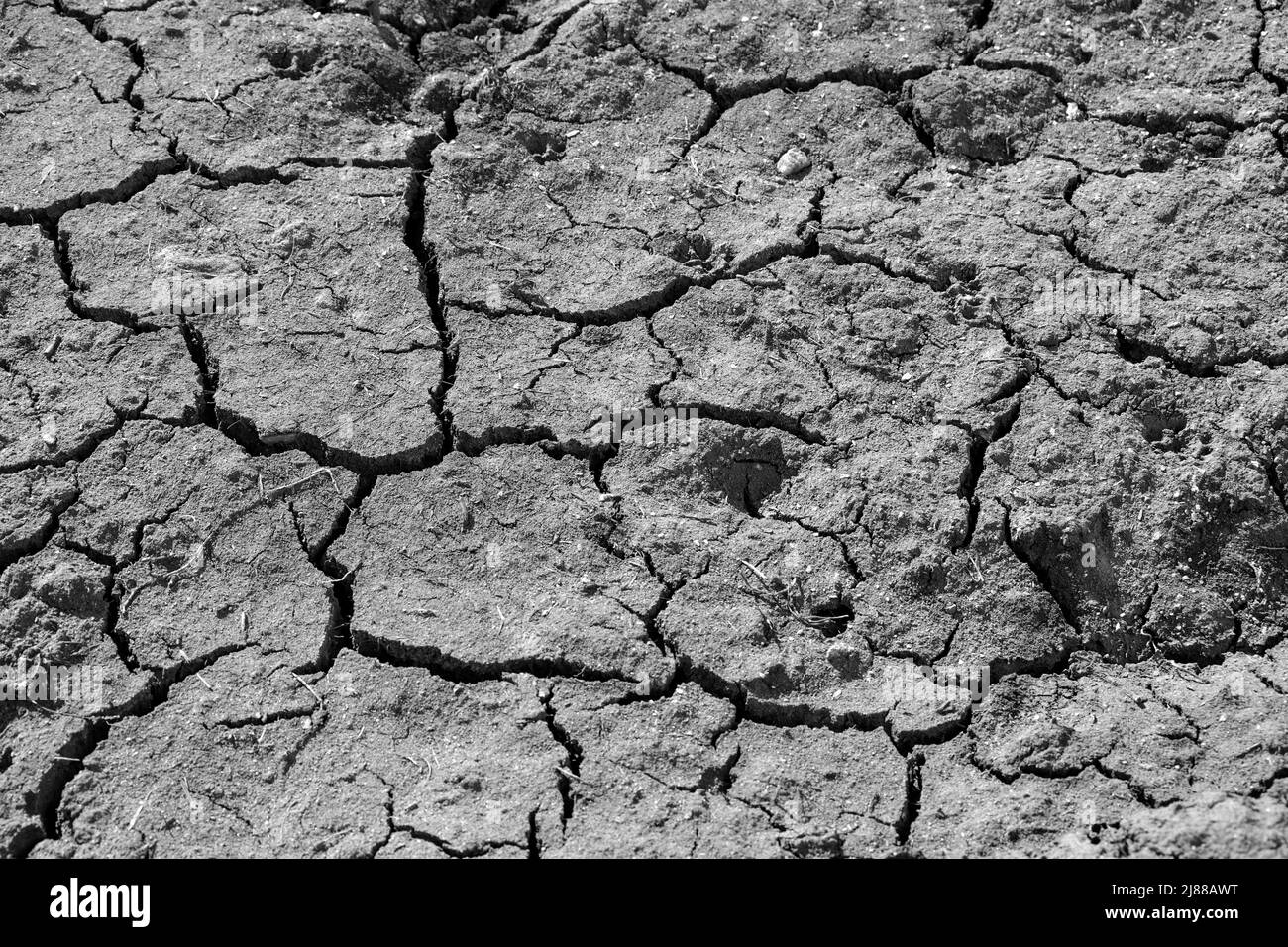 Distressed soil Black and White Stock Photos & Images - Alamy