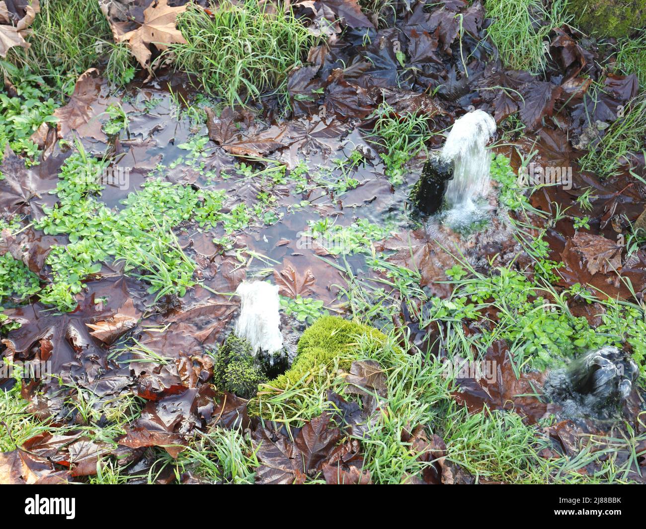 Natural water source from mountain hi-res stock photography and images ...