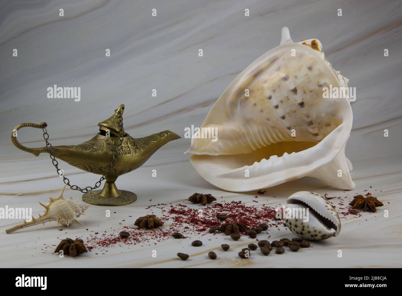 Remembrance of Egypt - sea shells, Alladin's lamp and other Egyptian ...
