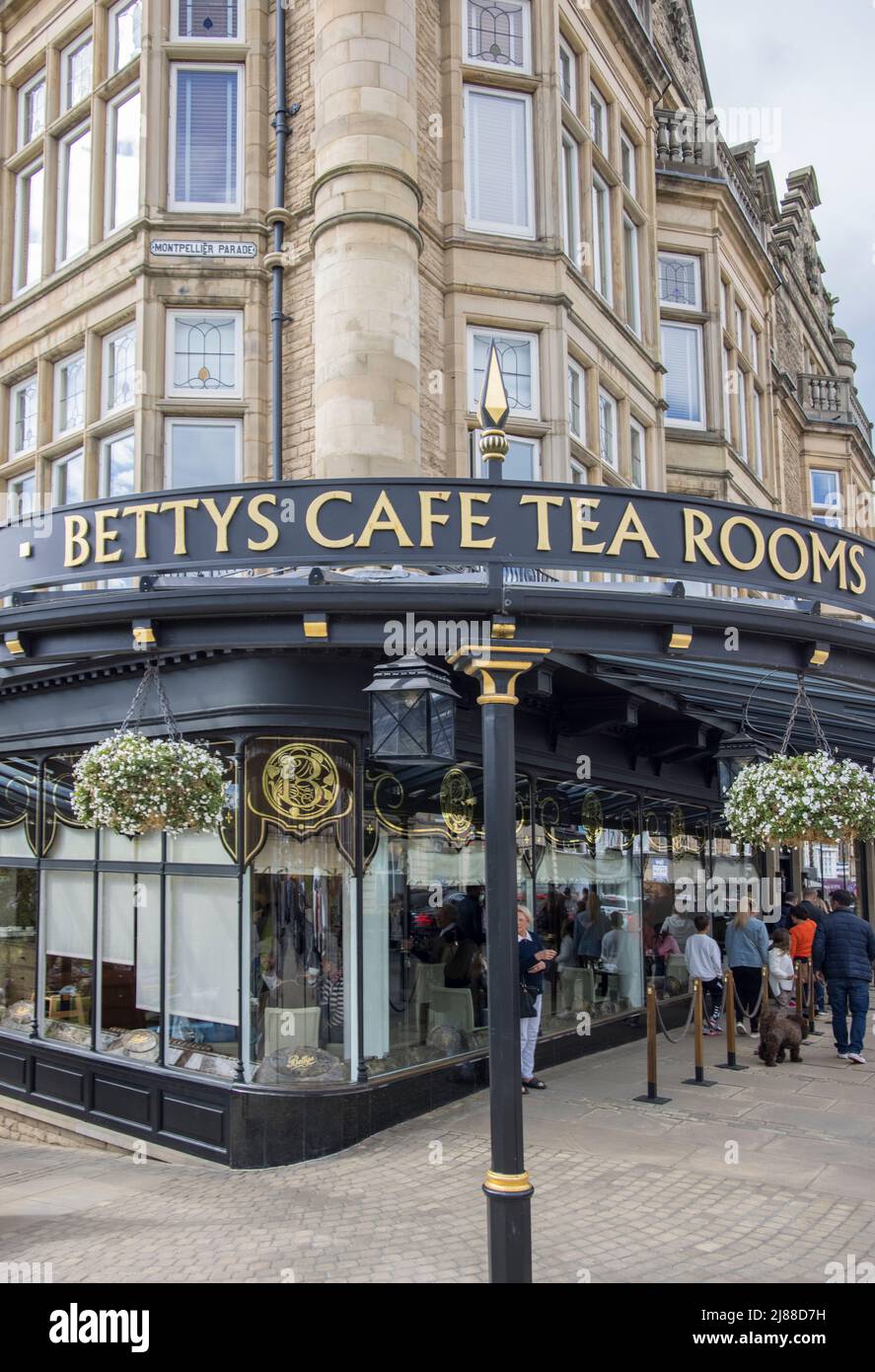 the famous bettys tea rooms in the spa town of harrogate yorkshire ...