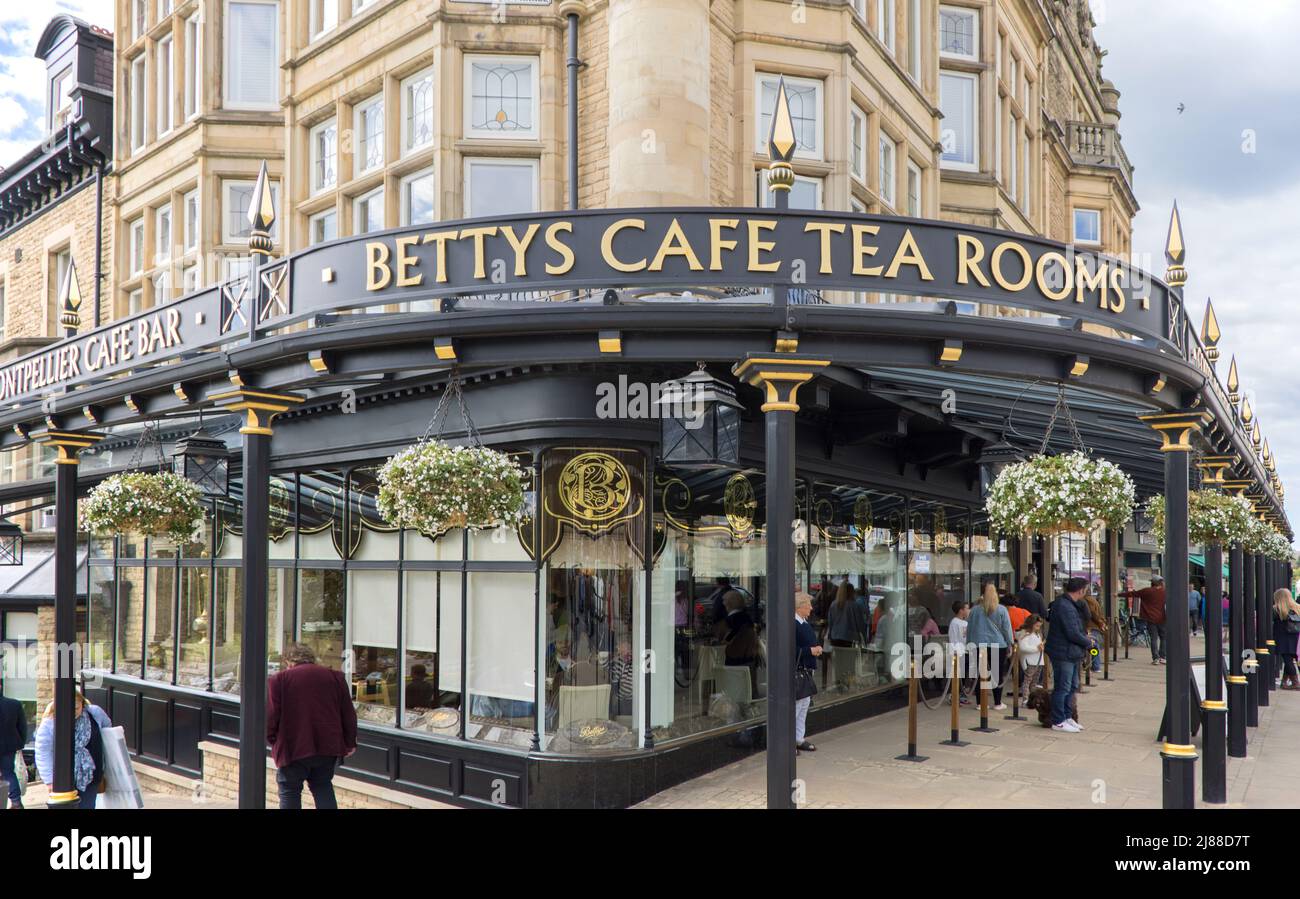 the famous bettys tea rooms in the spa town of harrogate yorkshire ...