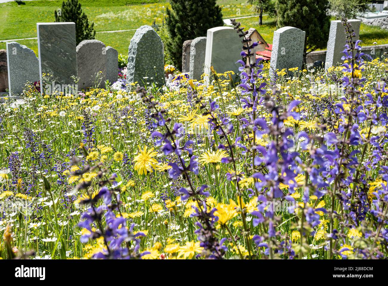Visit to the cemetery to die hi-res stock photography and images - Alamy