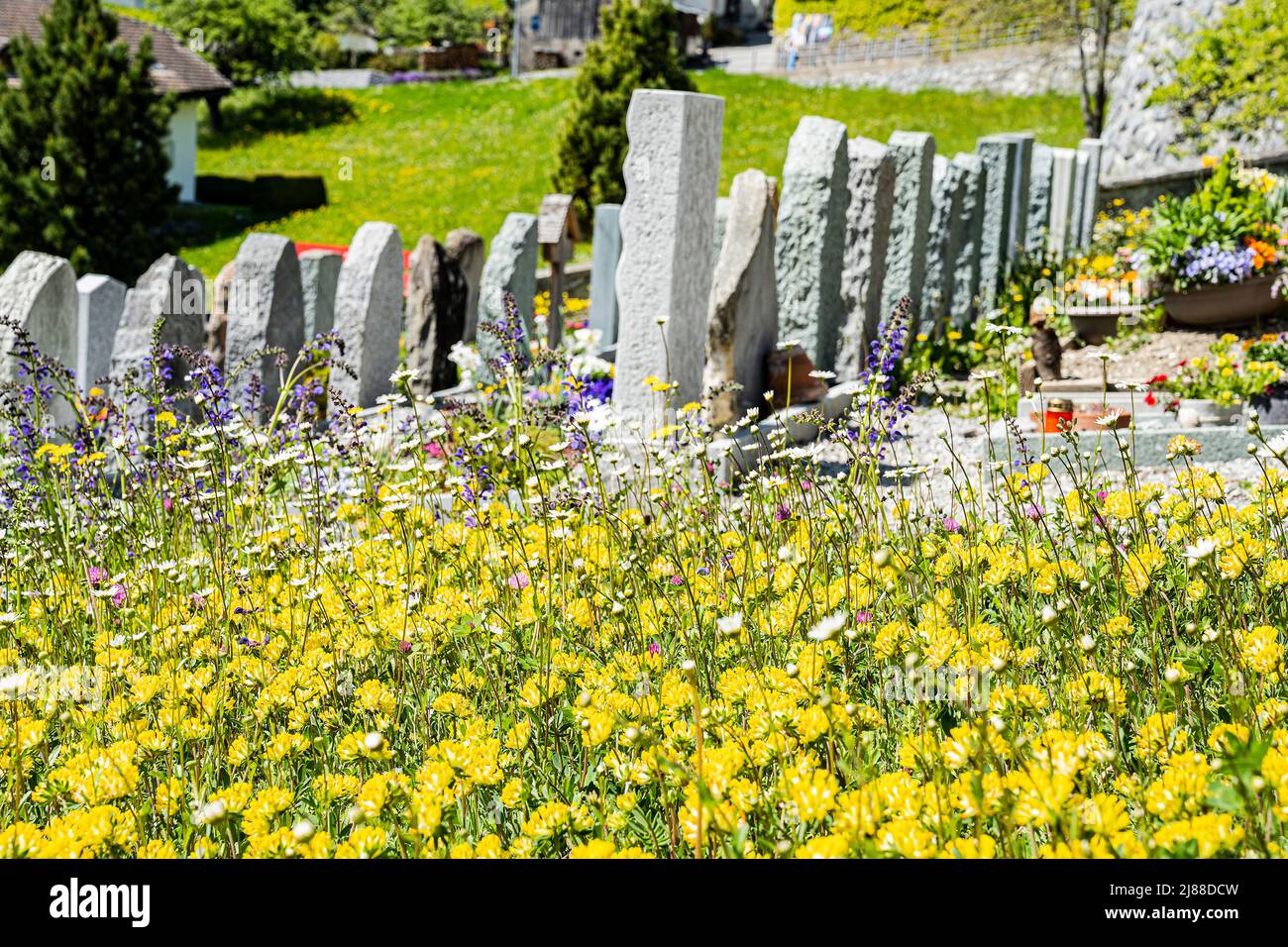 Cemetery with spring flowers hi-res stock photography and images - Alamy