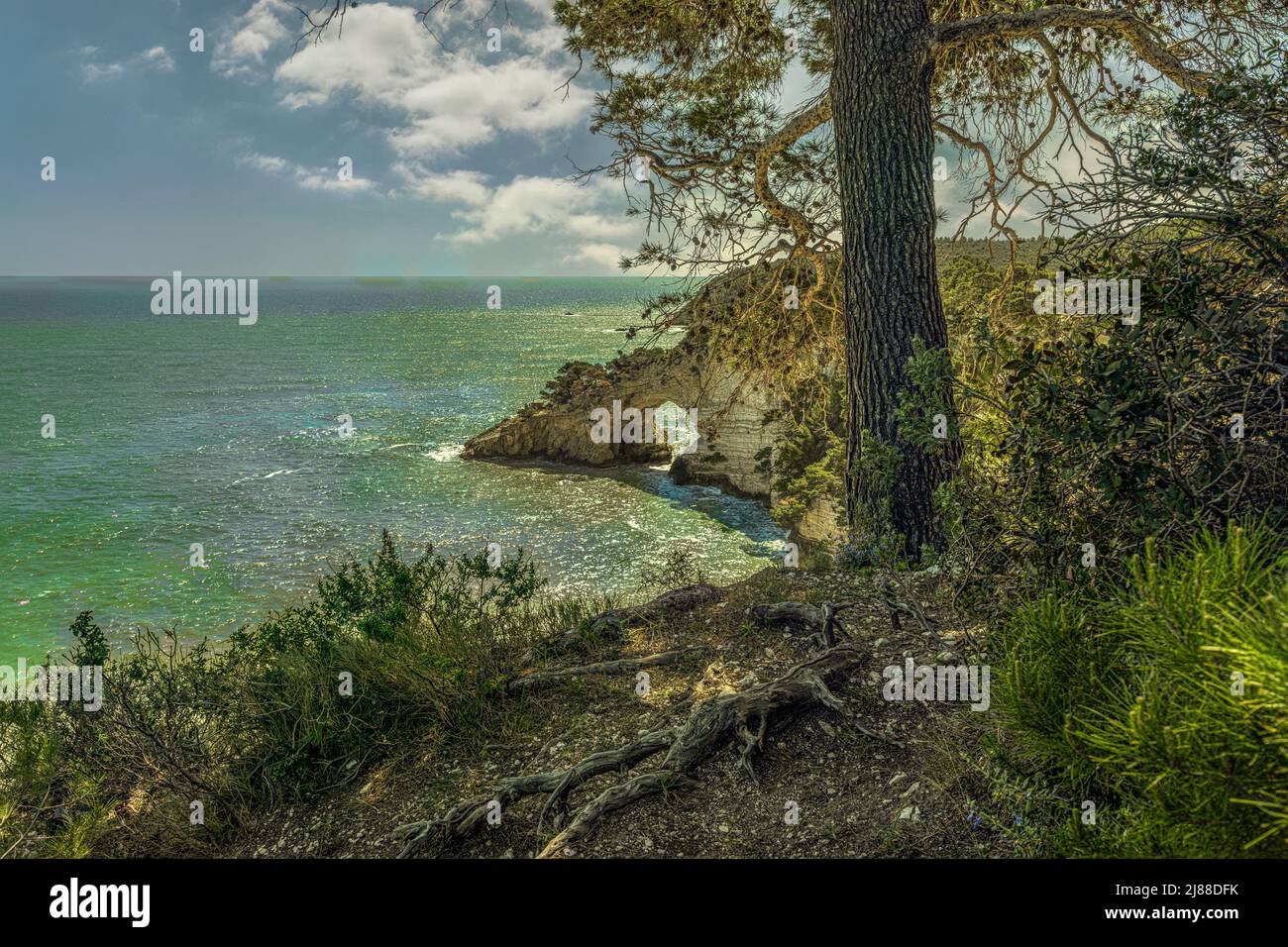 Natural arch in one of the Gargano promontories. The Arch of San Felice ...