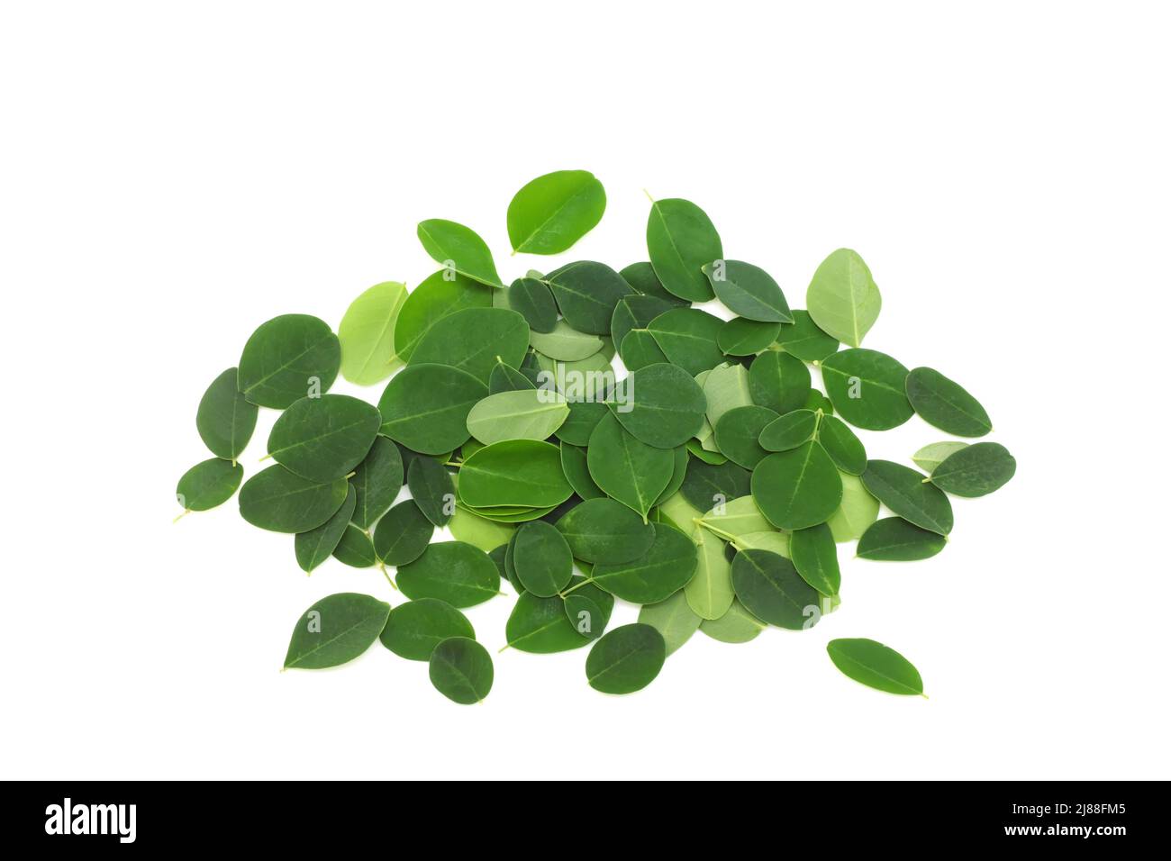 Fresh moringa oleifera leaves isolated on white background Stock Photo ...