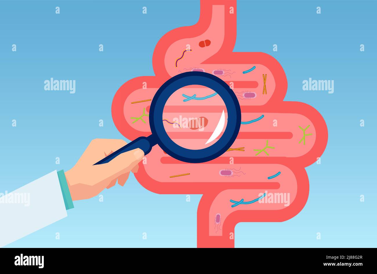 Vector of doctor examining gastrointestinal tract, bowel, digestive ...