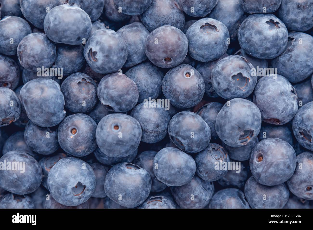 Full frame of blueberries hi-res stock photography and images - Alamy