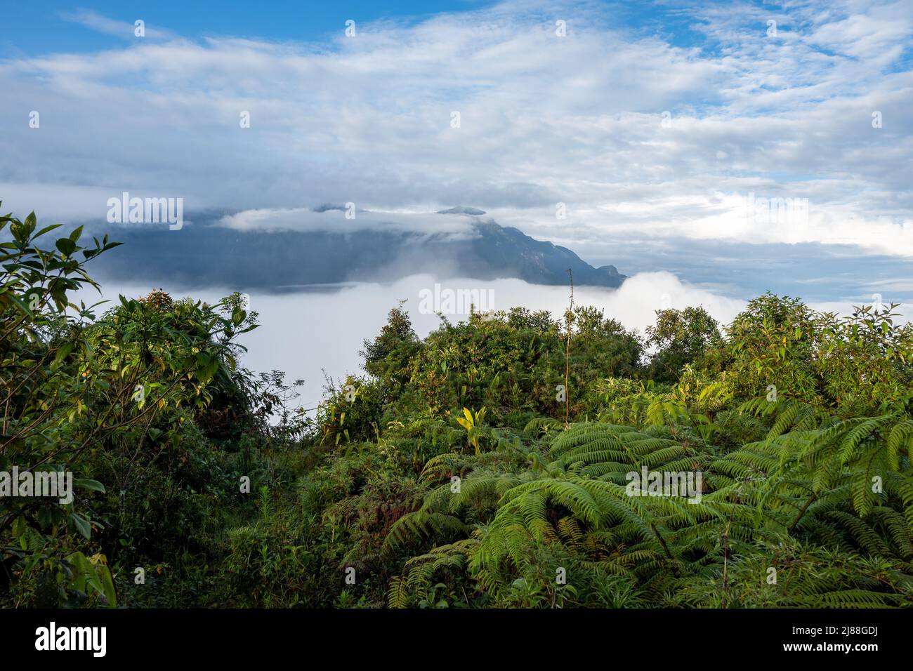 Colombian peak hi-res stock photography and images - Alamy