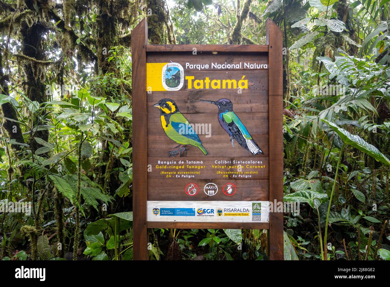 Tatama national park hi-res stock photography and images - Alamy