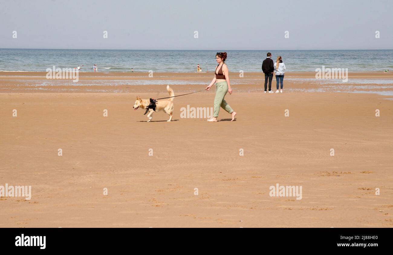 A beautiful young lady walking her dog Stock Photo - Alamy