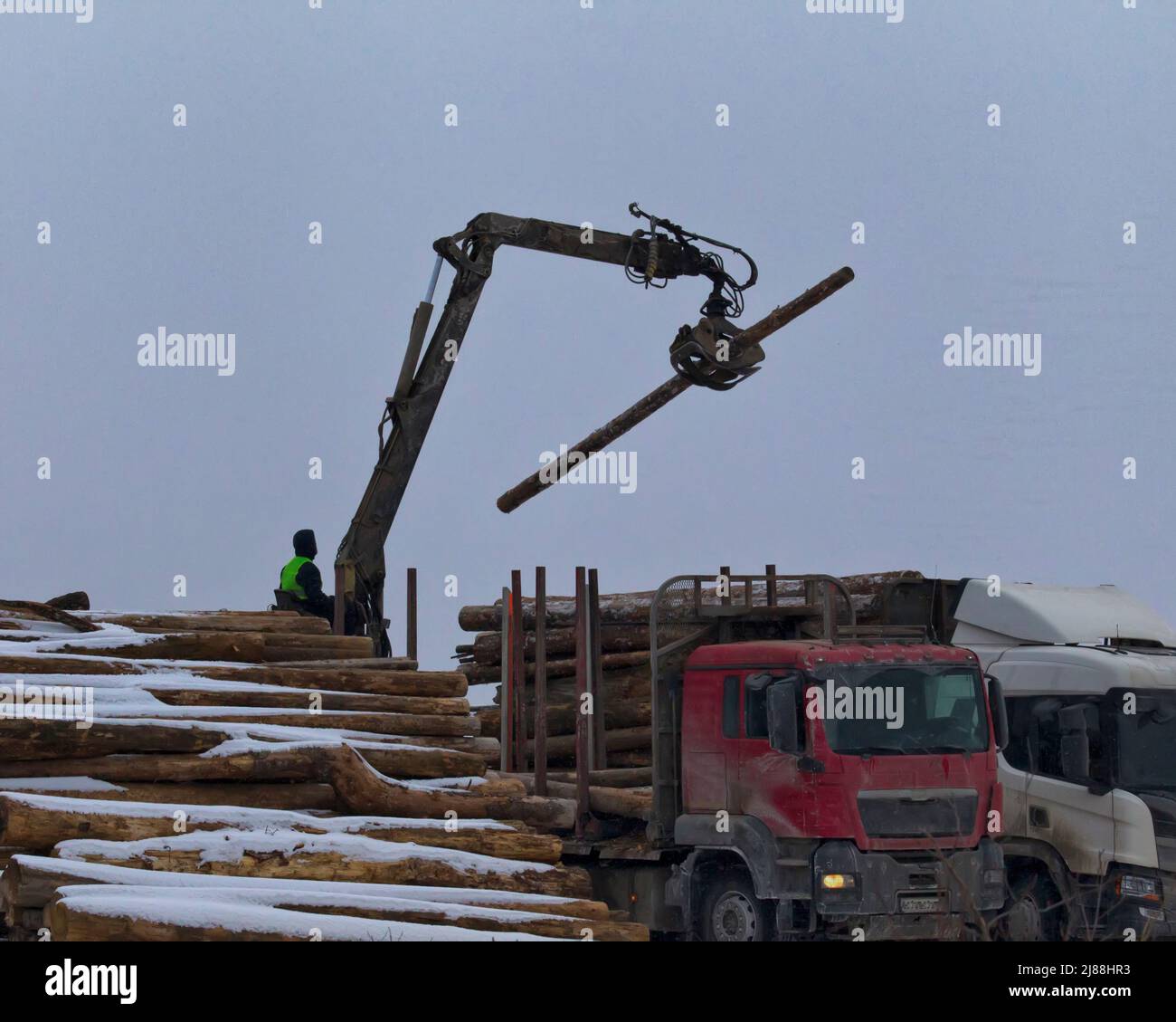 Forestry industry. Timber yard. Operations for loading-unloading ...