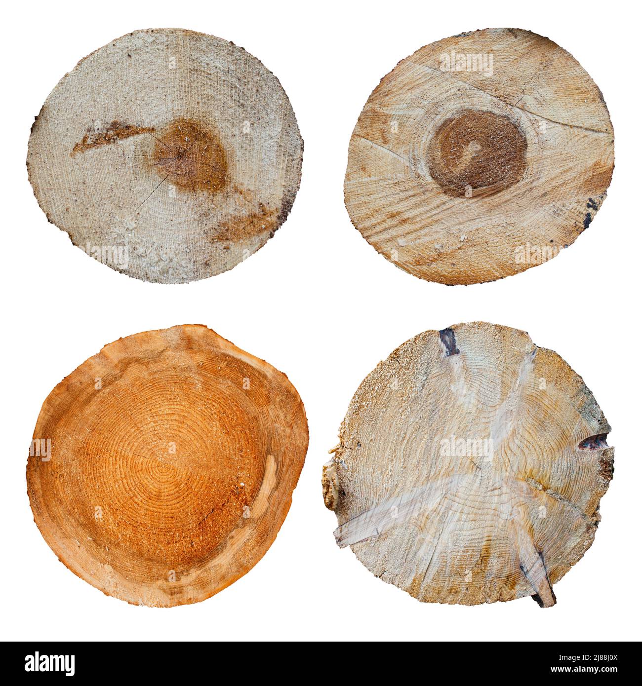 A close-up set of cross-cutting trees. The texture is sawn wood on a ...